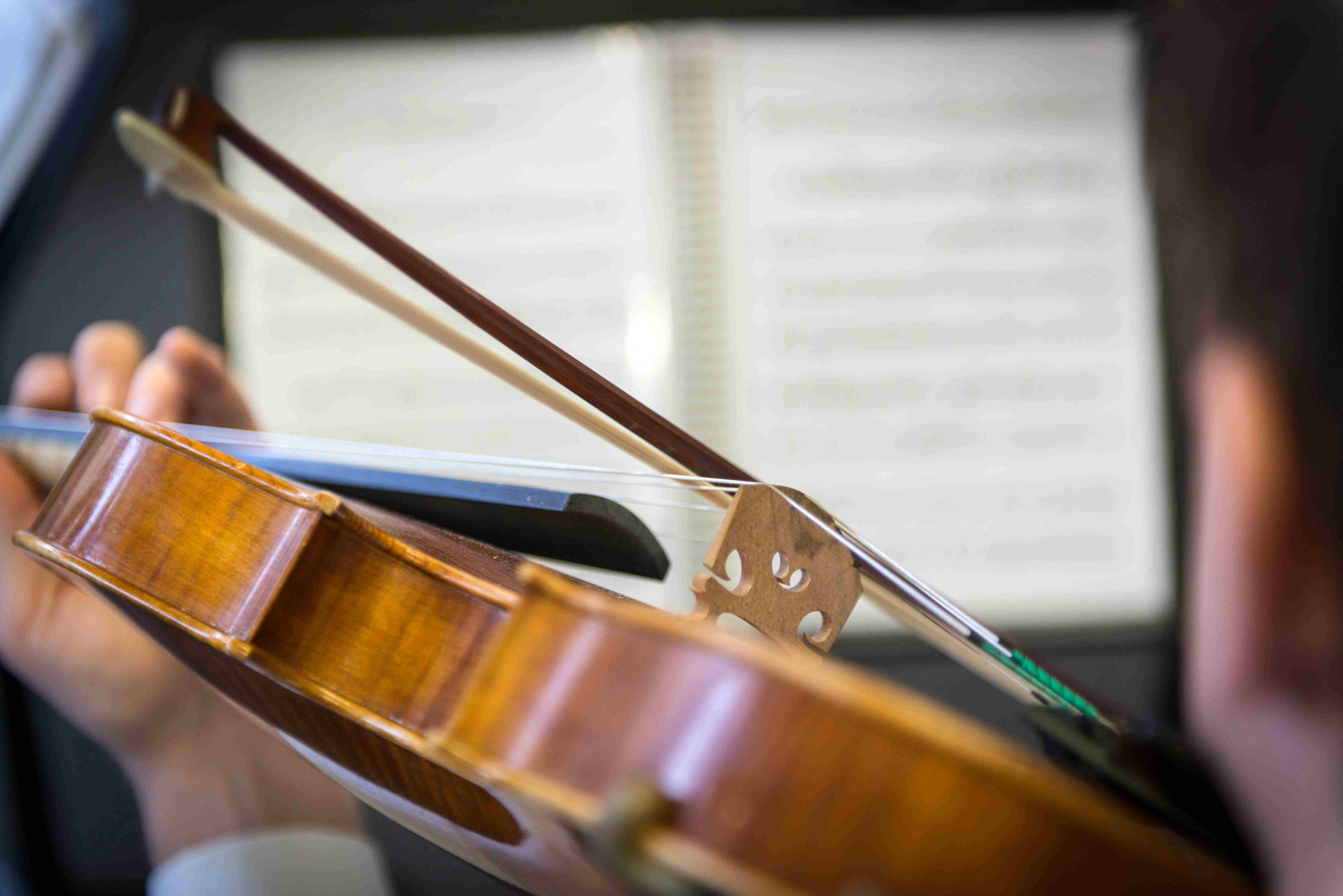 String Quartet Courses 2024 | Elder Conservatorium of Music ...